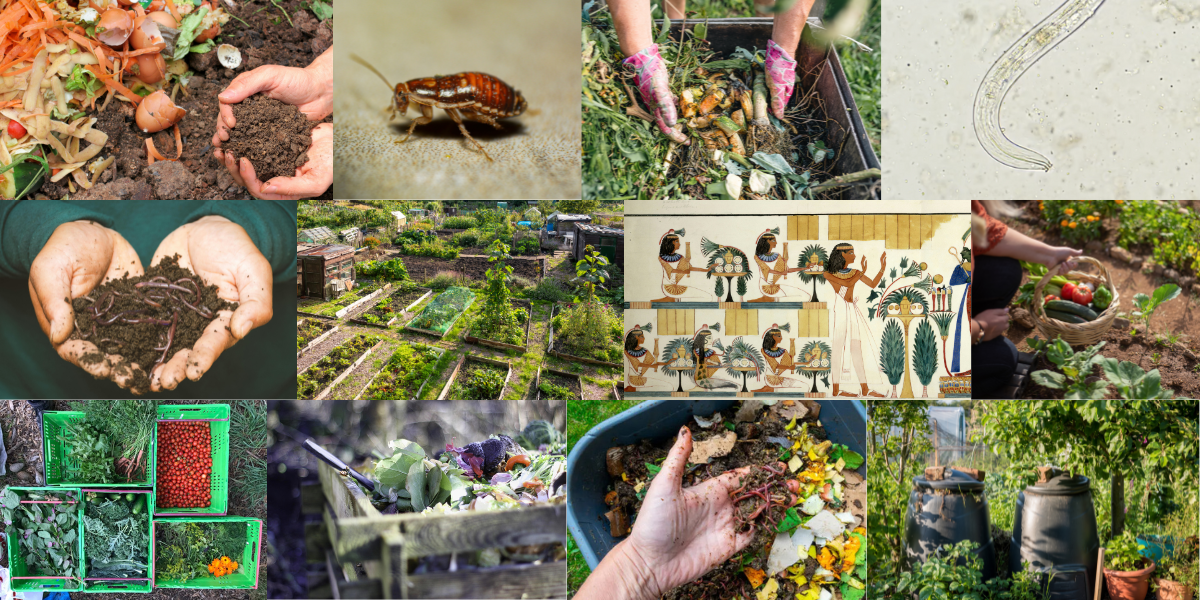 International Compost Awareness Week kicks off!